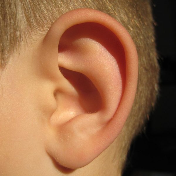 Diagnosis of the ear - CPDG Limited